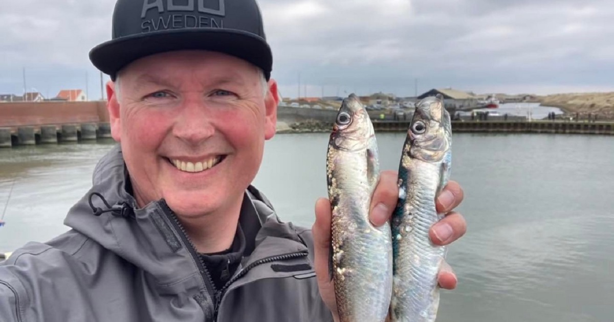 Pladsguide: Her kan du fange sild i havnene