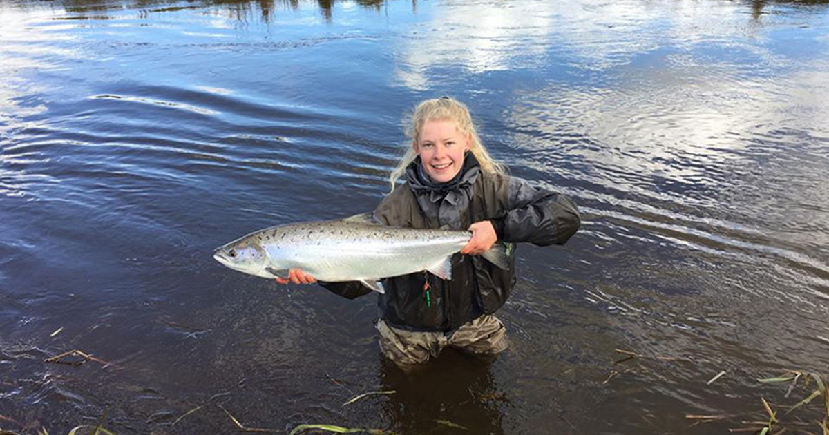 Laksekvoten 2017 i Varde Å-systemet er på 240 laks
