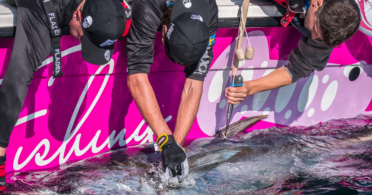 Succesfuld tagging af 18 tun i Danmark og Sverige