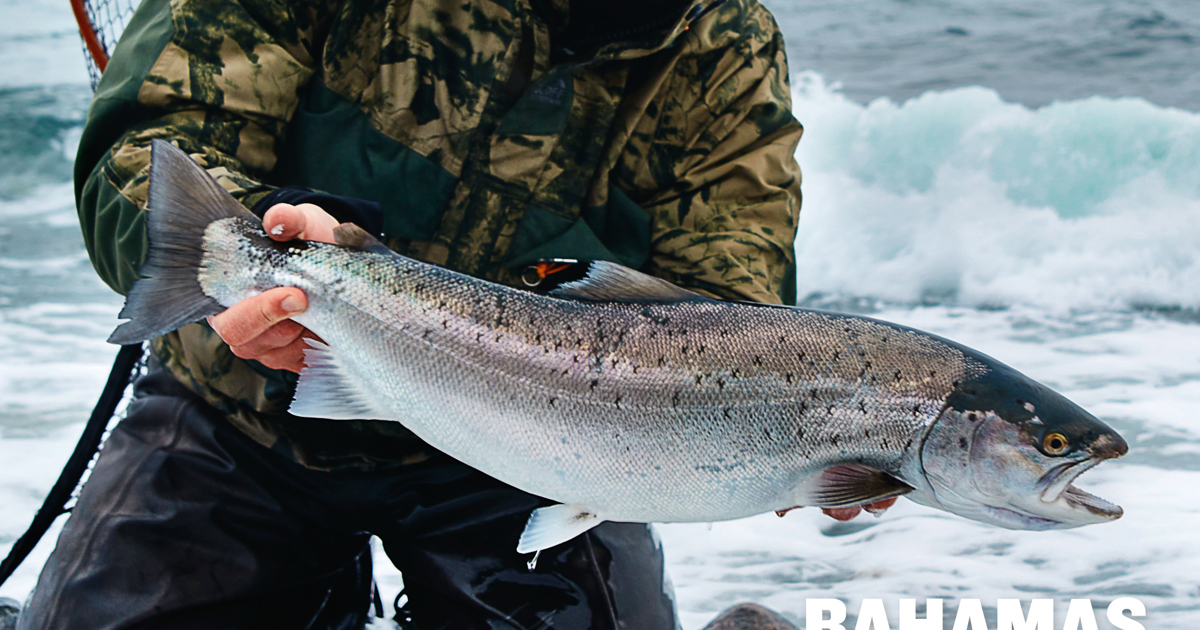 Sportsfiskeren 7: Bahamas på budget og vinterfiskeri på hjemlige kyster