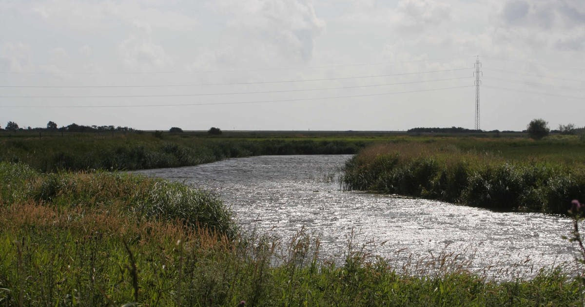 Fangster 2017 i Kongeå og Sneum Å af laks og havørred