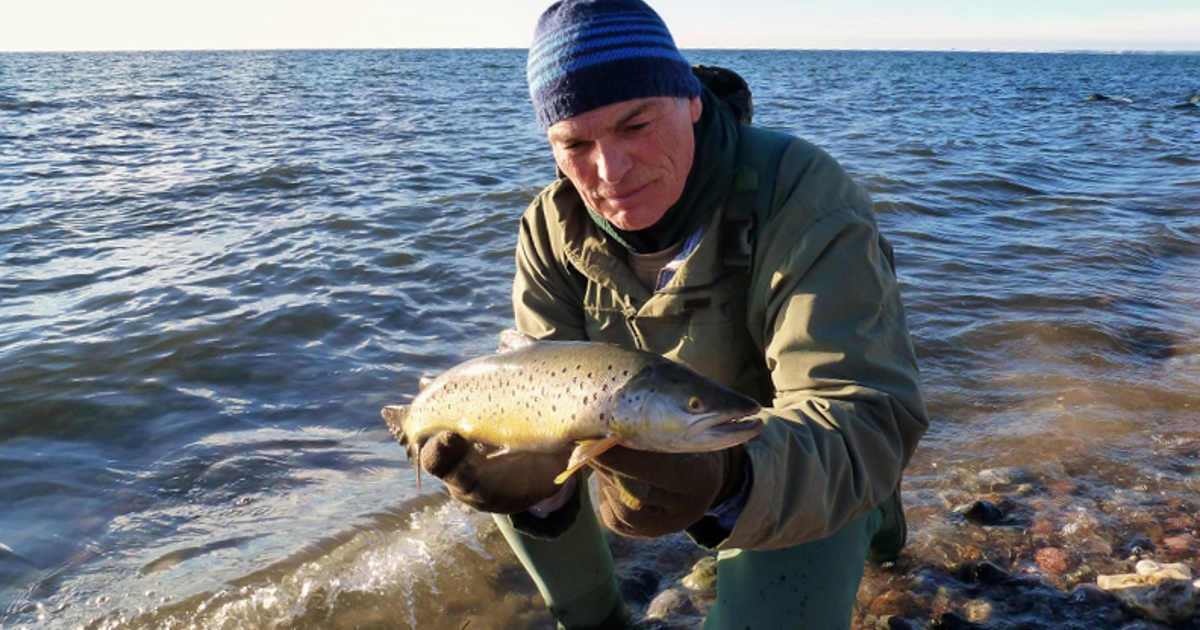 Fine fisk under vinterbesøg