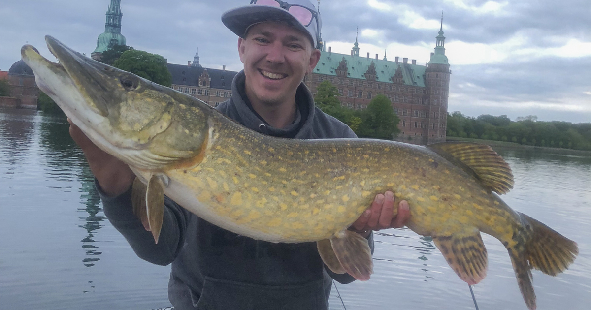 Slotssøen gemte på en storgedde