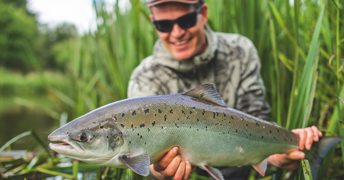 BLIV KLOGERE PÅ DEN DANSKE LAKS