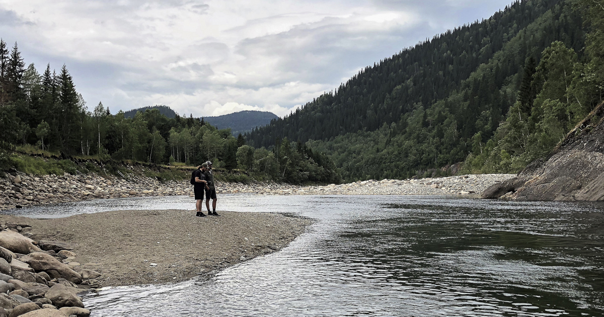 Stop for laksefiskeriet i Gaula