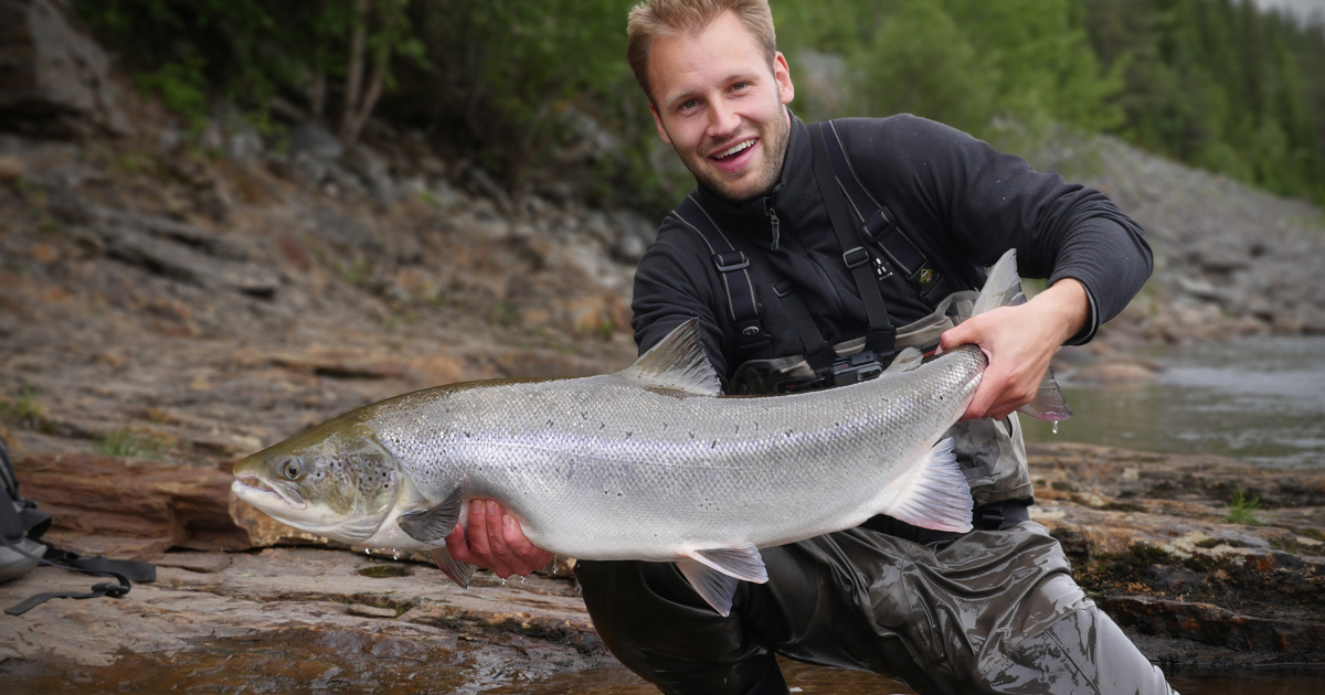 Gaula-laks efter syv minutters fiskeri