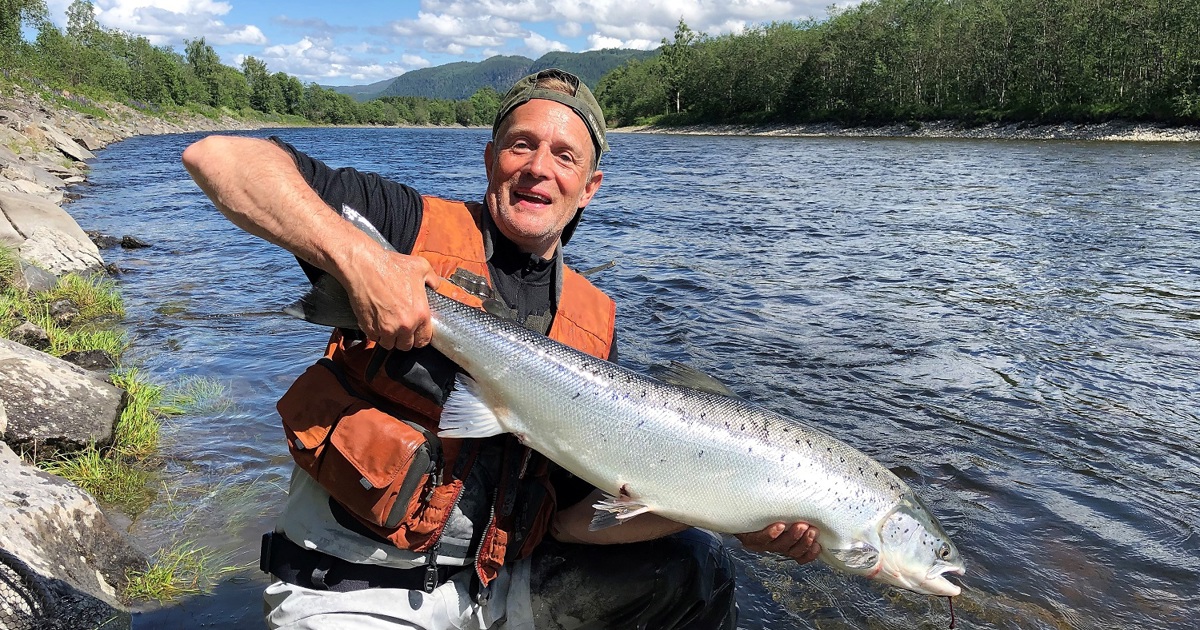 Svingende laksefiskeri ved Gaula