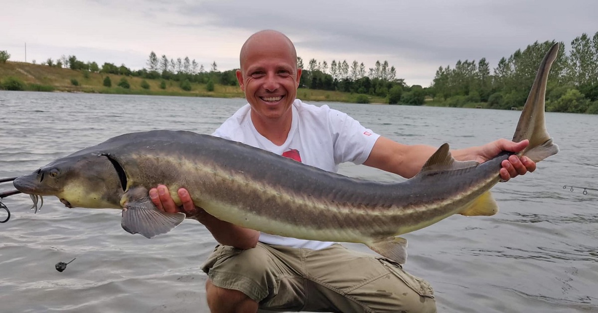 Fokus på regler for brug af agnfisk i ferske vande