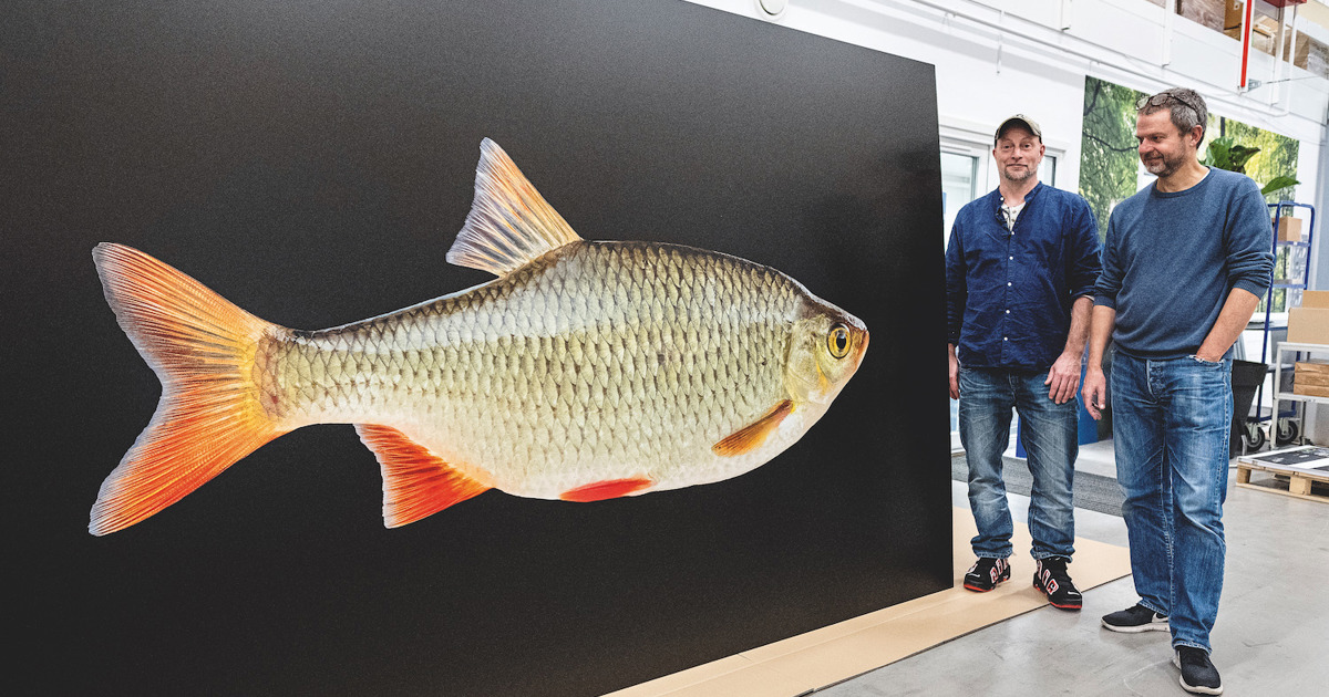 Gratis foredrag: Kom bagom fotoprojektet ”Fisk Helt Tæt På”