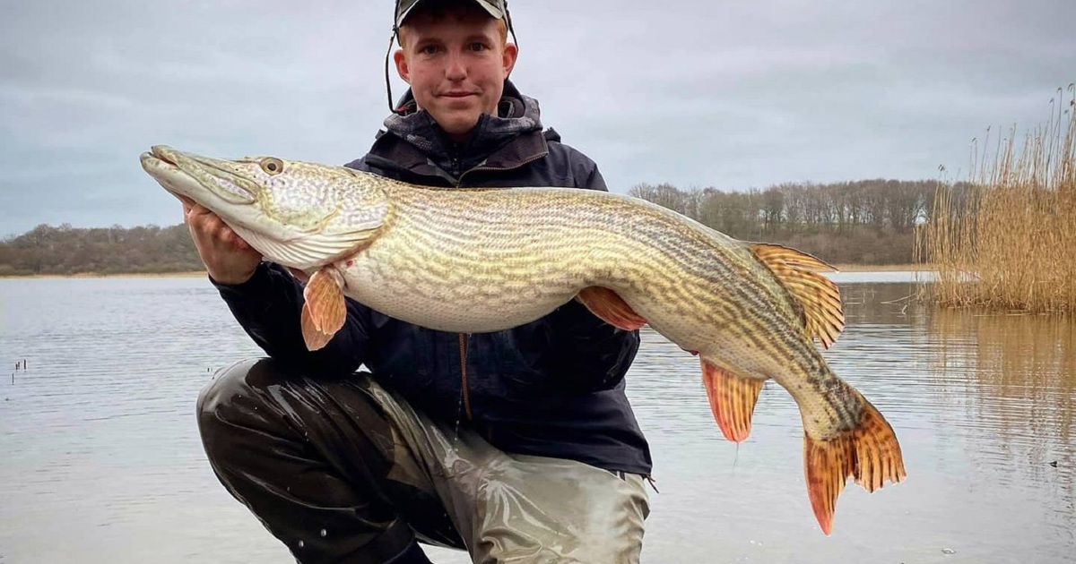 Geddepremiere: Sådan fisker de gedder i maj