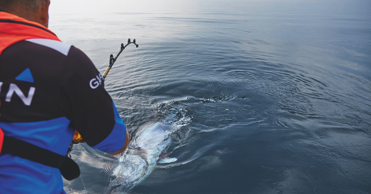 Danske lystfiskere skal igen fiske efter tun