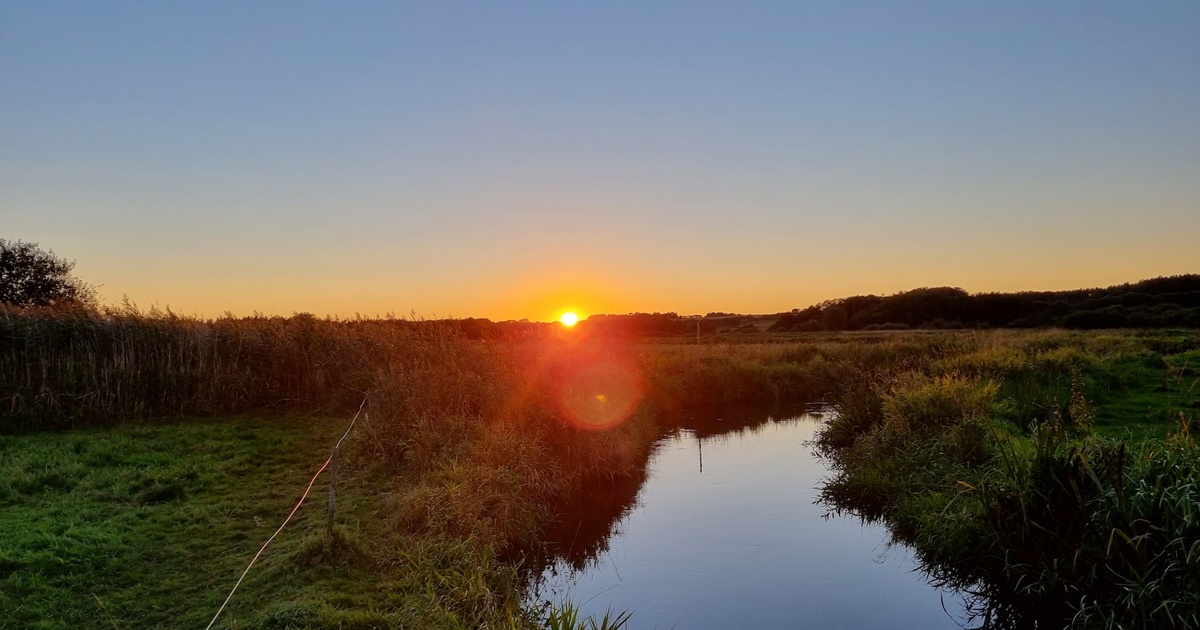 Enorme mængder spildevand er endt i Alling Å: DSF og foreninger kræver ...