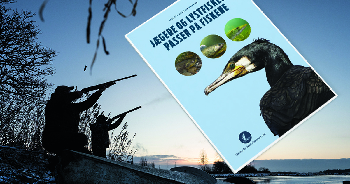 Ny folder skal give lettere adgang til regulering af skarv