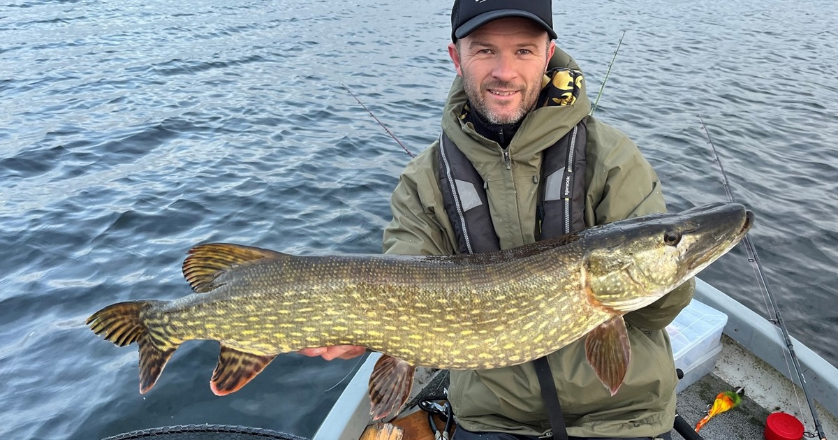 Tips & tricks: Sådan fisker du gedder i vinterkoldt vand